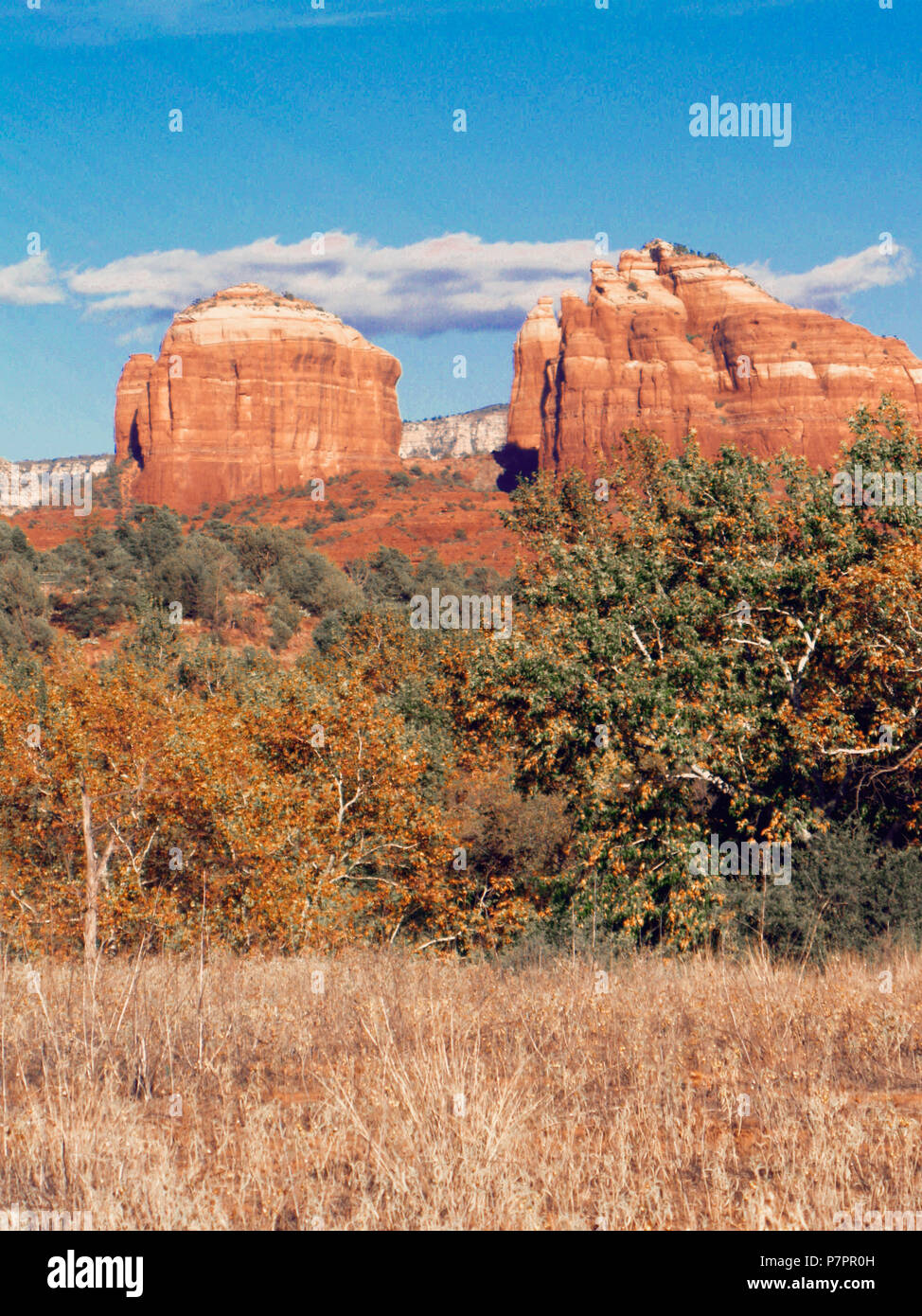 Photos du désert sec cactus Sedona arrid eau rivière ruisseau à sec de ...