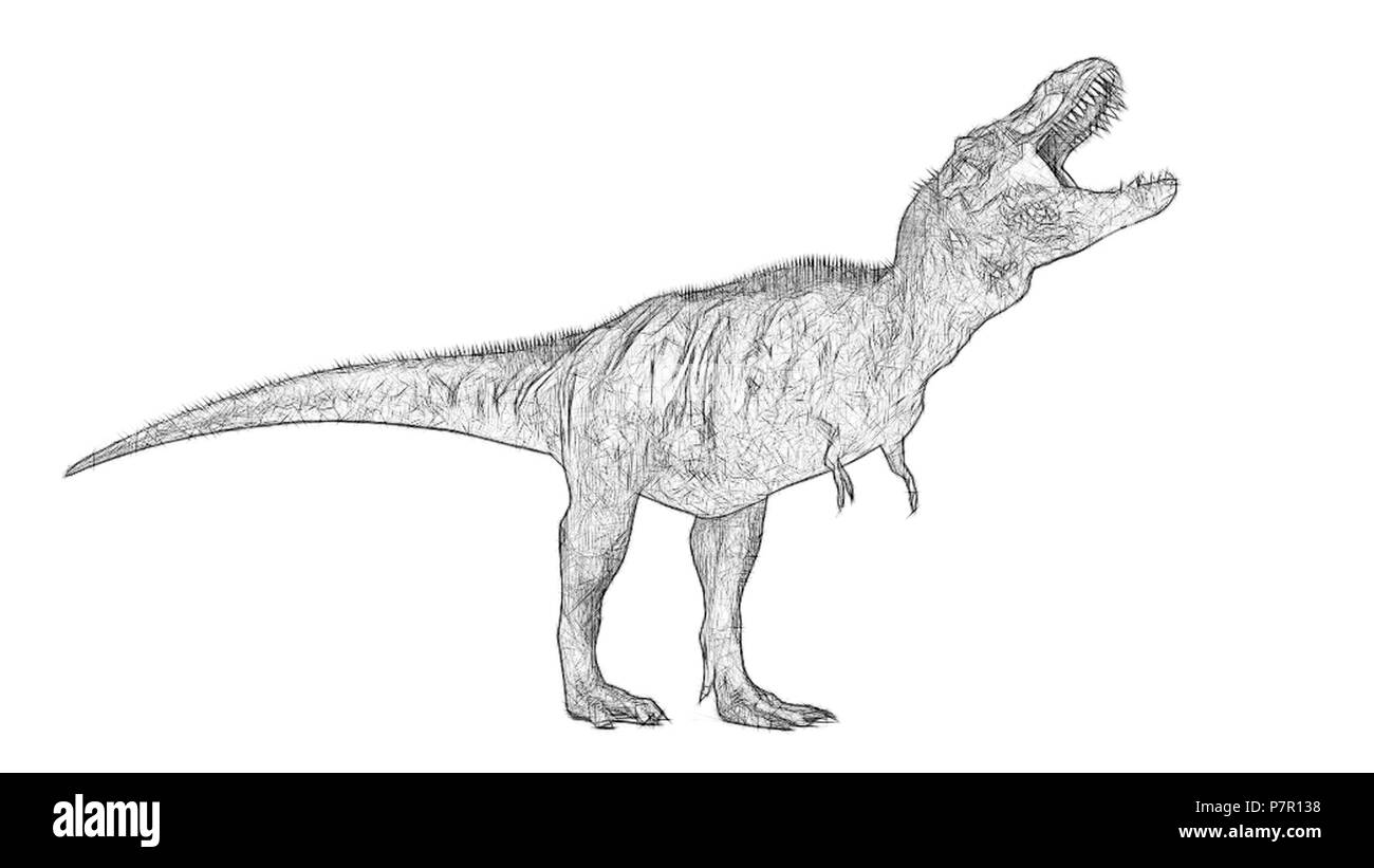 Tyrannosaurus sketch Banque de photographies et d’images à haute résolution - Alamy
