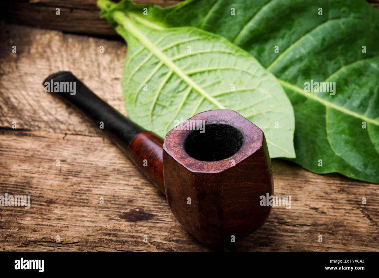 Tabac mature Banque de photographies et d’images à haute résolution - Alamy