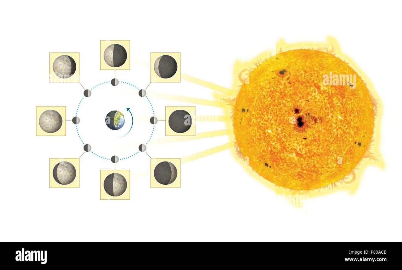Phases of the moon illustration Banque d'images détourées - Alamy