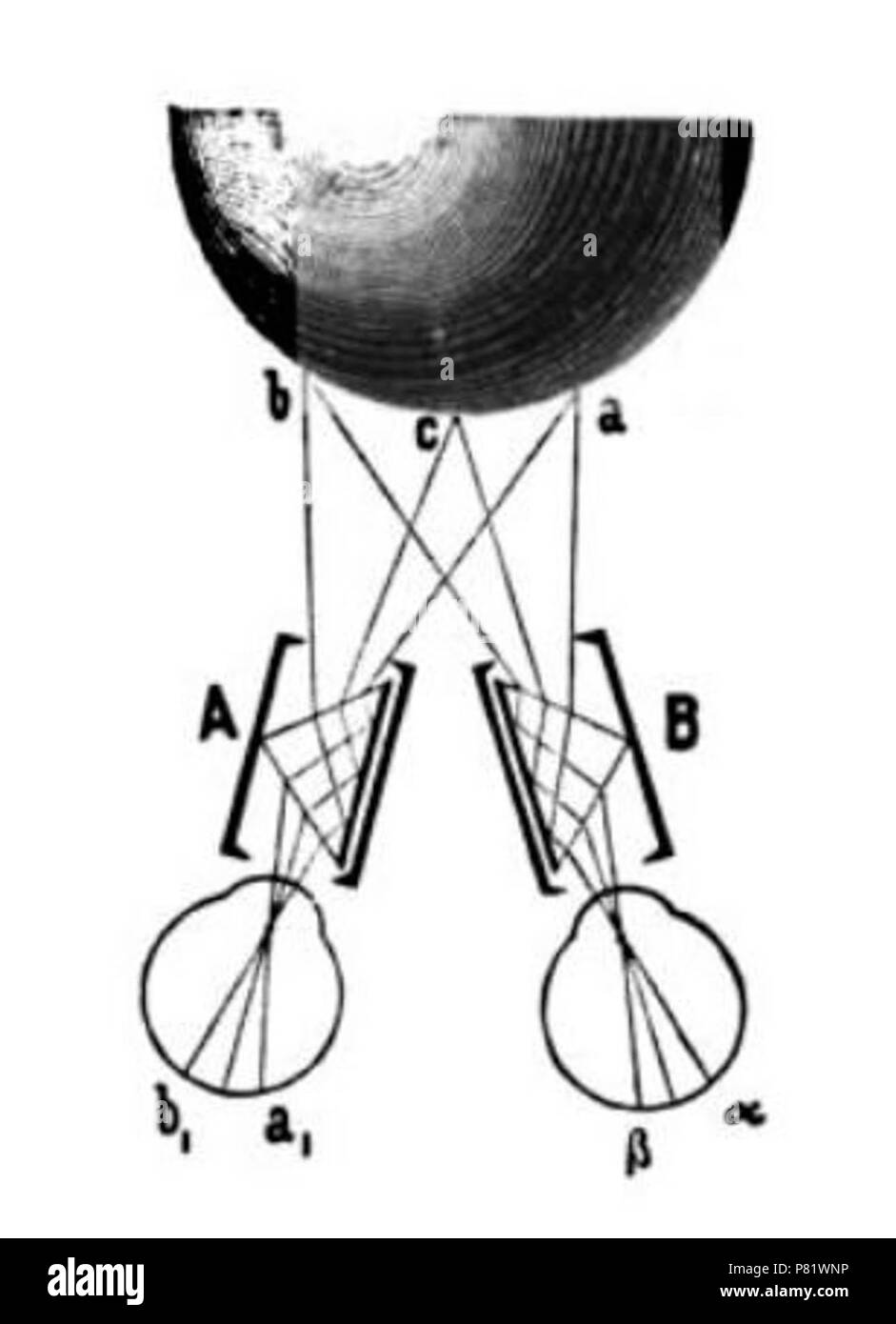 Charles Wheatstone prismatique du pseudoscope. Il éteint l'images ...