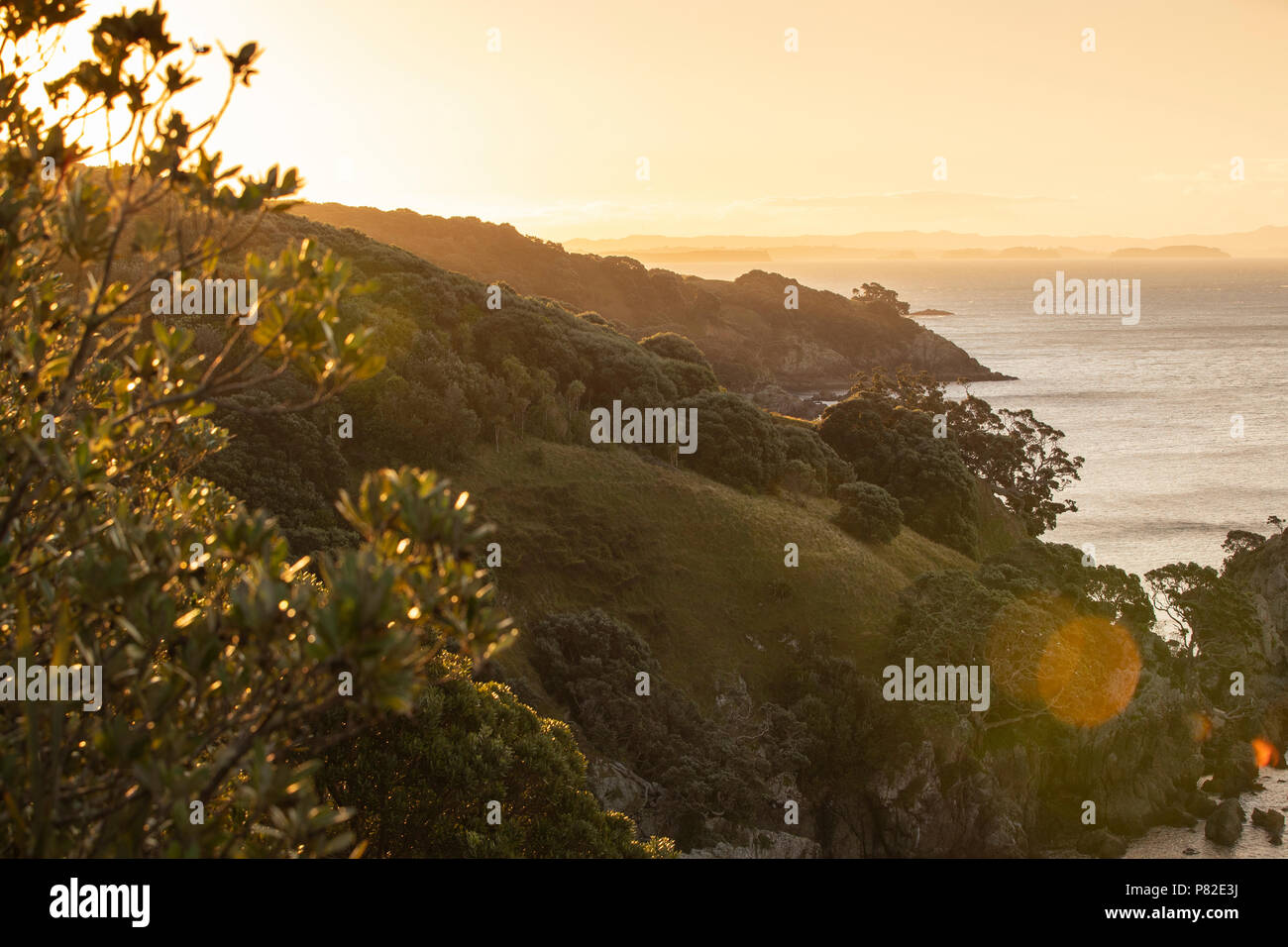 Tiritiri matangi Banque de photographies et d’images à haute résolution ...