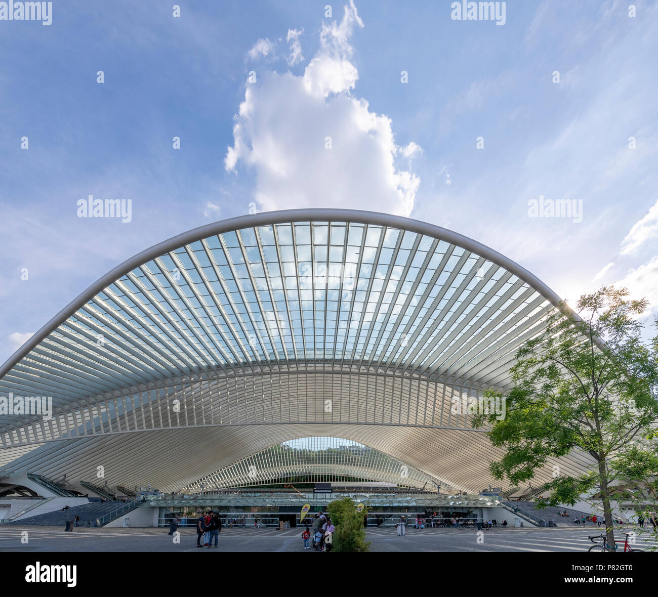 La gare de Liège Guillemins en Belgique, architecte Santiago Calatrava ...