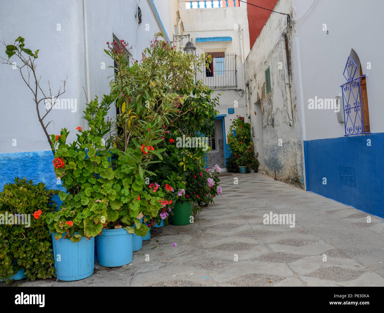 Asilah souk Banque de photographies et d’images à haute résolution - Alamy