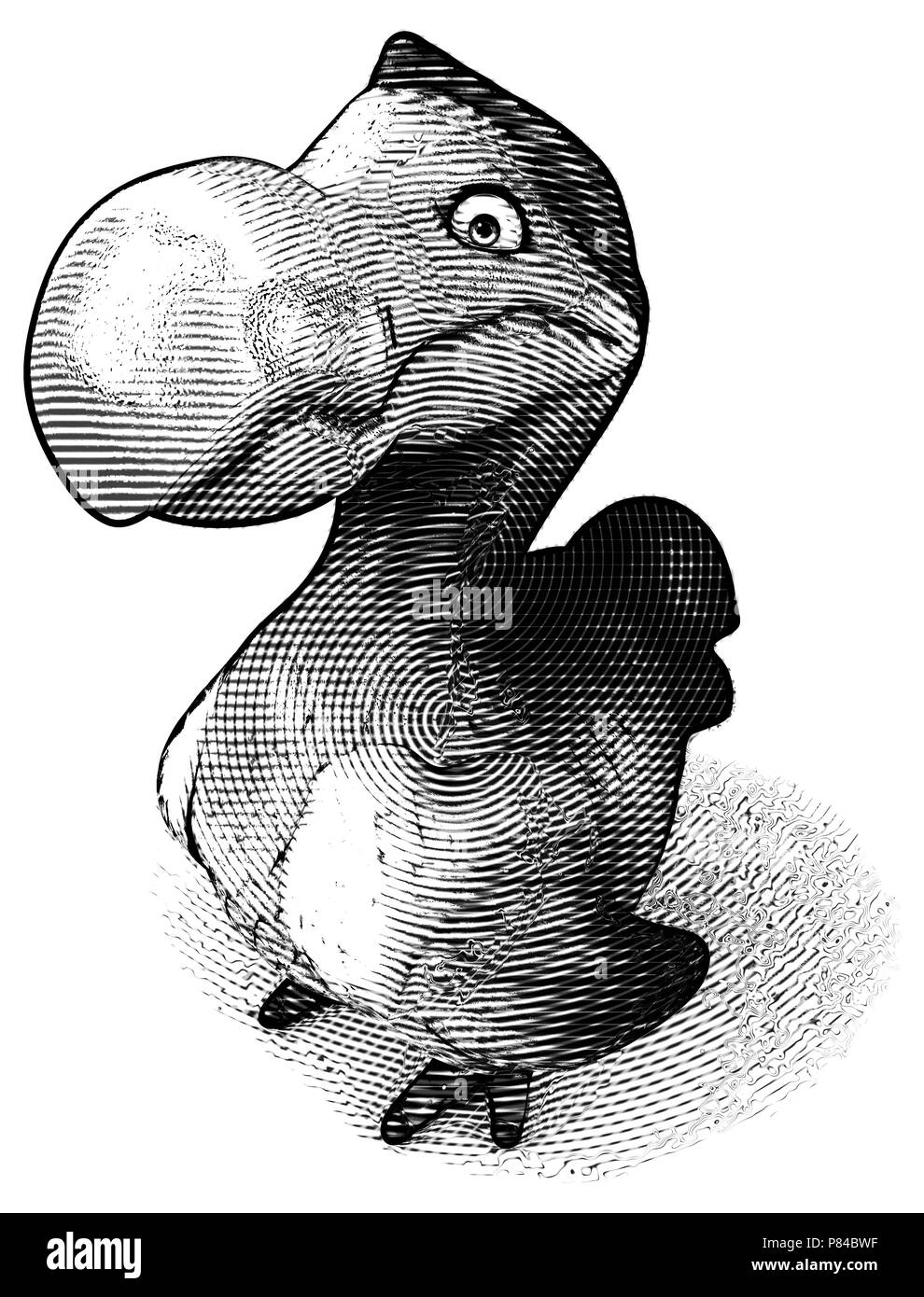 Dodo illustration Banque d'images noir et blanc - Alamy