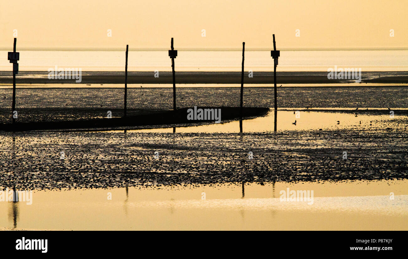 Zeeuws Banque de photographies et d’images à haute résolution - Alamy