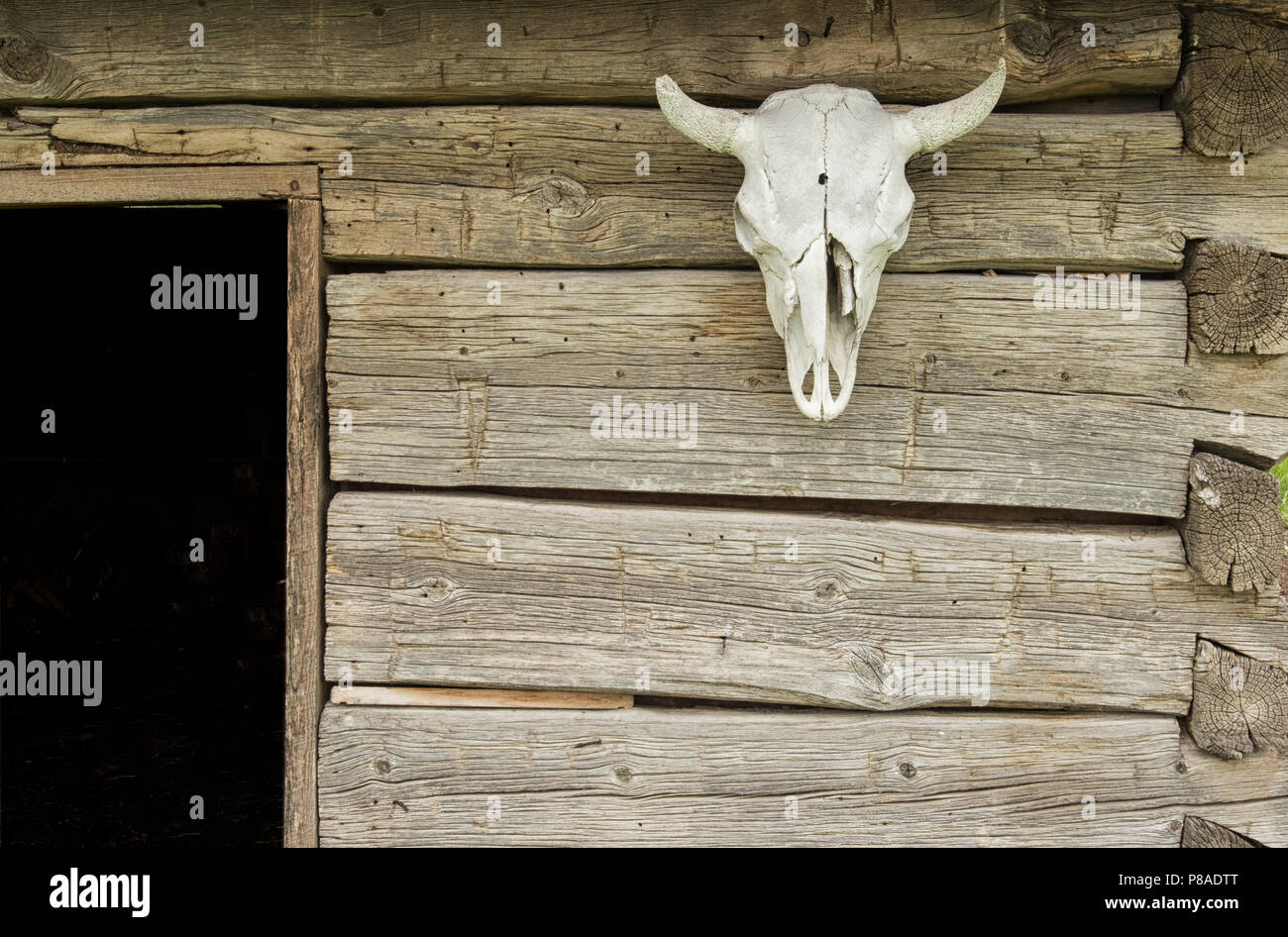 Amérique du Nord ; United States ; Montana ; Fort Connah ; lieu ...