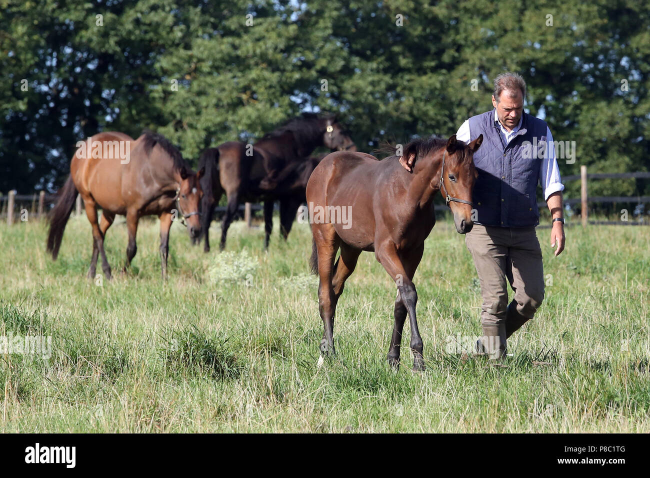 Peter rodd Banque de photographies et d’images à haute résolution - Alamy