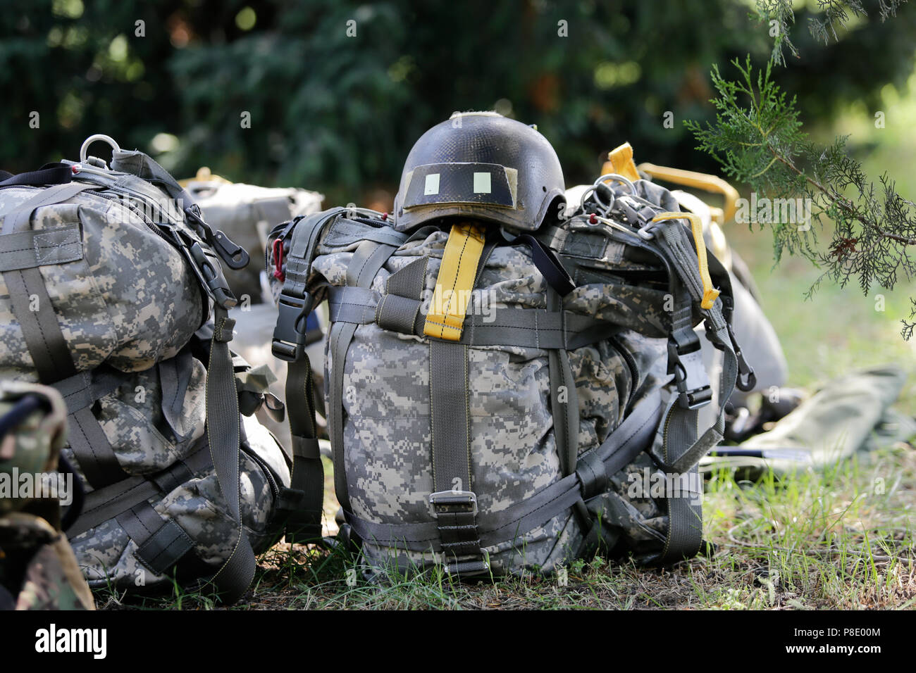 Parachutistes militaires Banque de photographies et d’images à haute ...