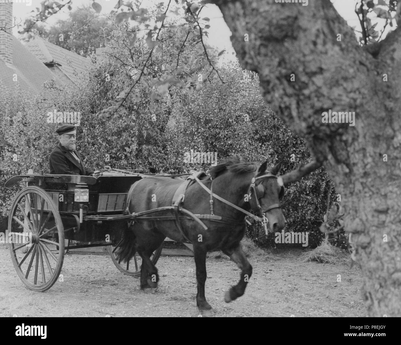 Michael ripper Banque de photographies et d’images à haute résolution ...