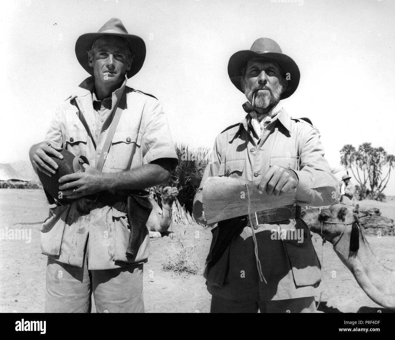 She 1965 peter cushing Banque de photographies et d’images à haute ...