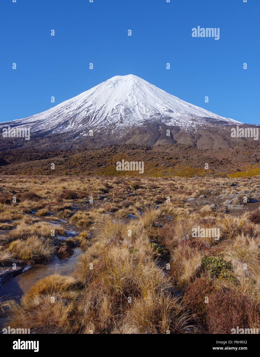 Mont taranaki egmont Banque de photographies et d’images à haute ...