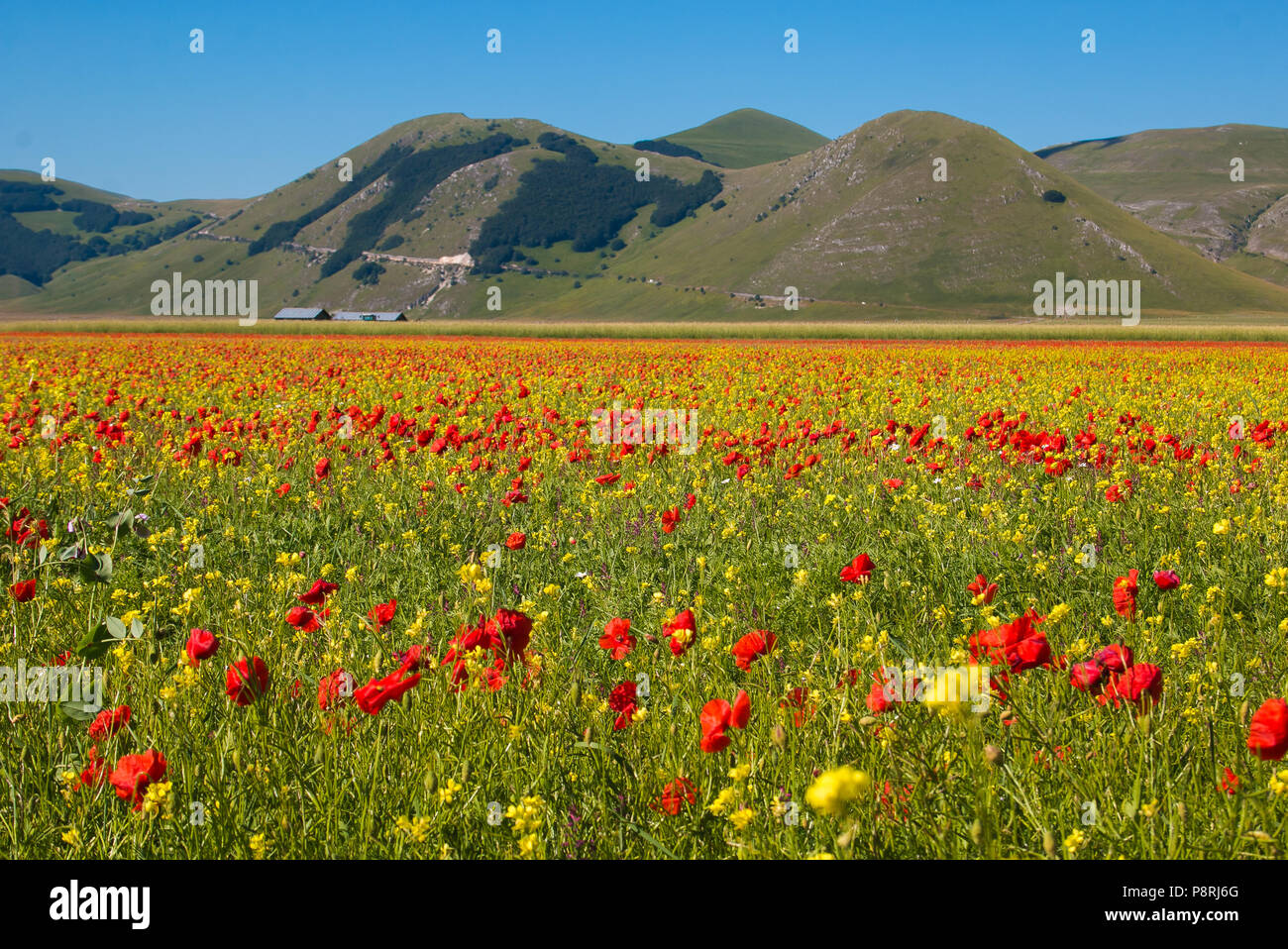 Apennine mountain Banque de photographies et d’images à haute ...
