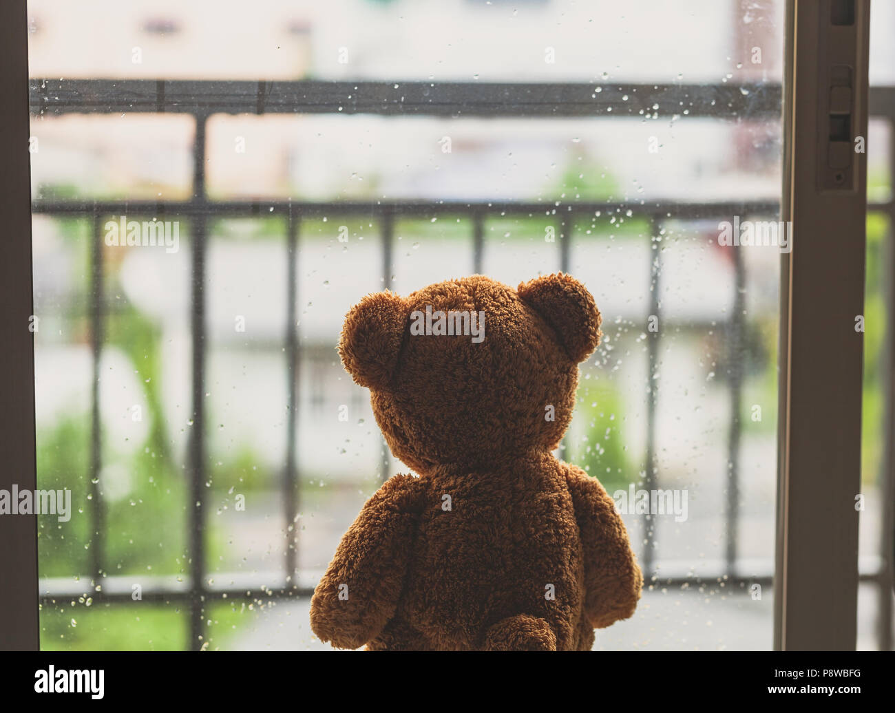 Ours solitaire Banque de photographies et d’images à haute résolution ...