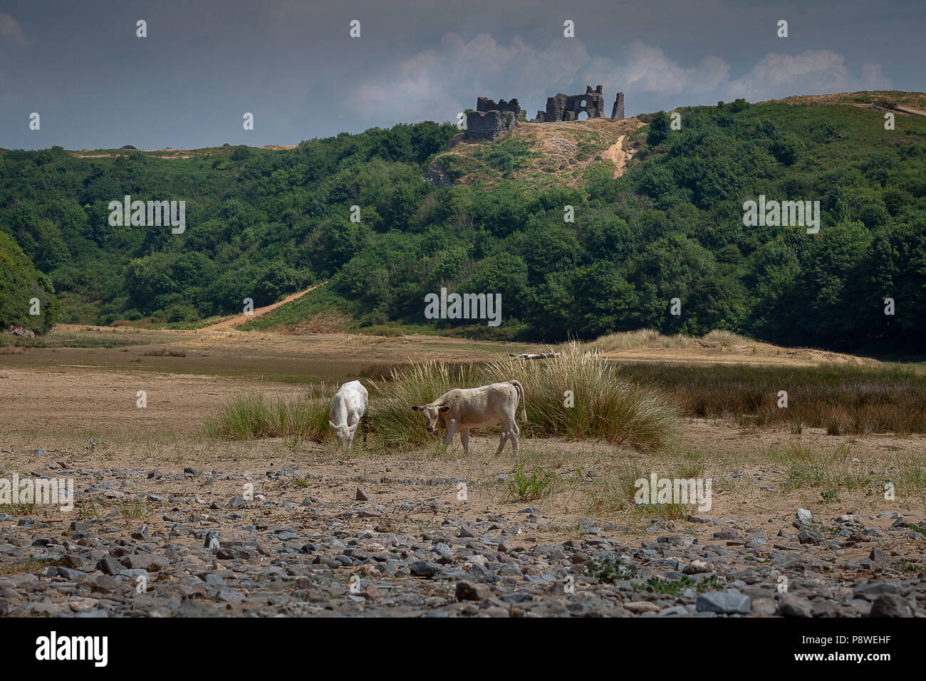 Ruines du château de pennard Banque de photographies et d’images à ...