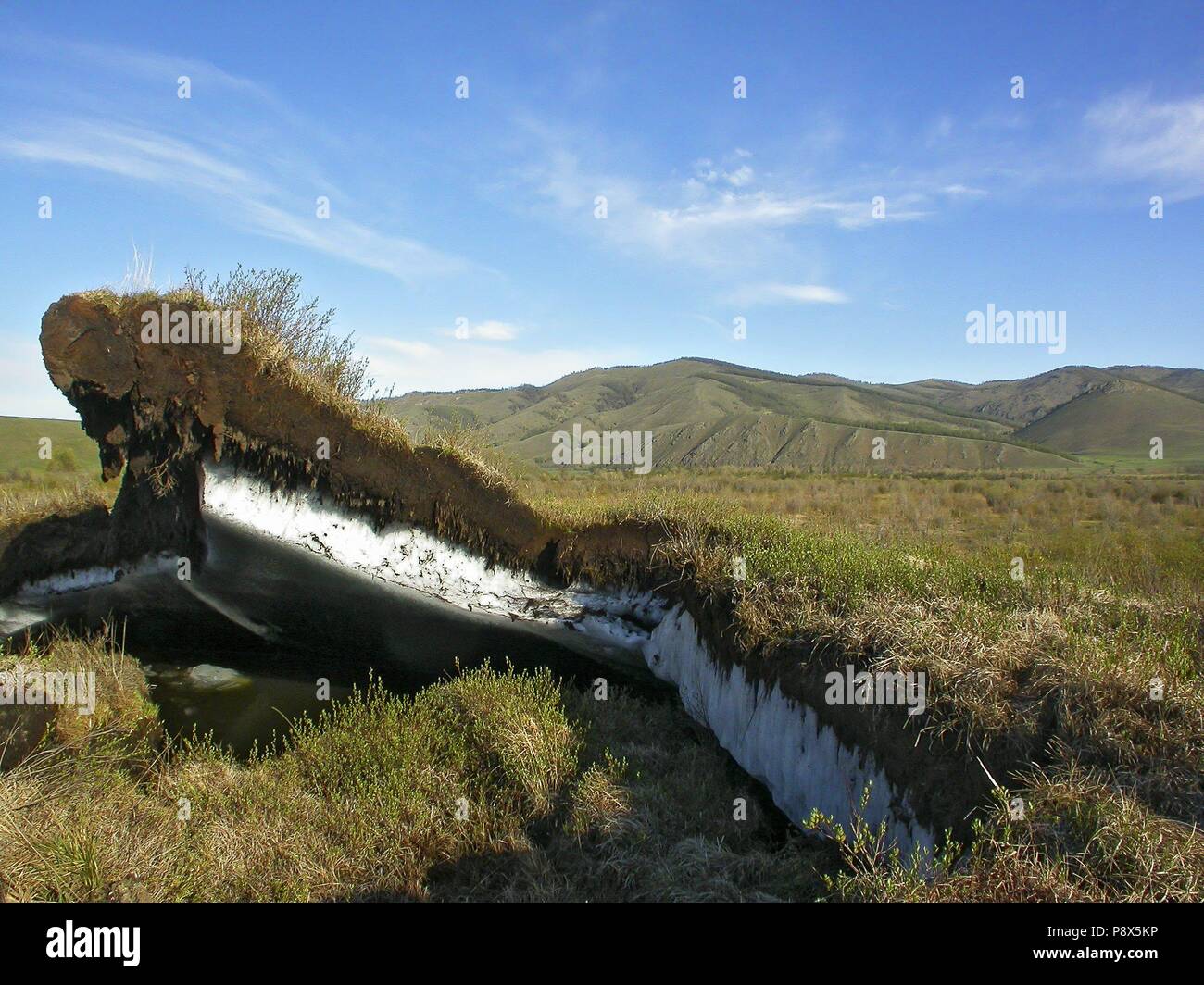 Ouvrir le sol de la forêt boréale du pergélisol dans la steppe, Khan ...