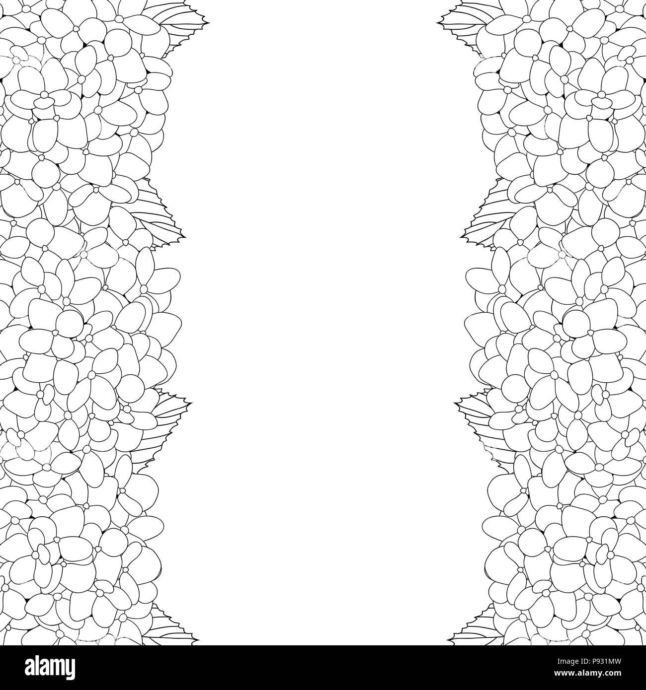 L'Hydrangea Flower Contours Border isolé sur fond blanc. Vector ...