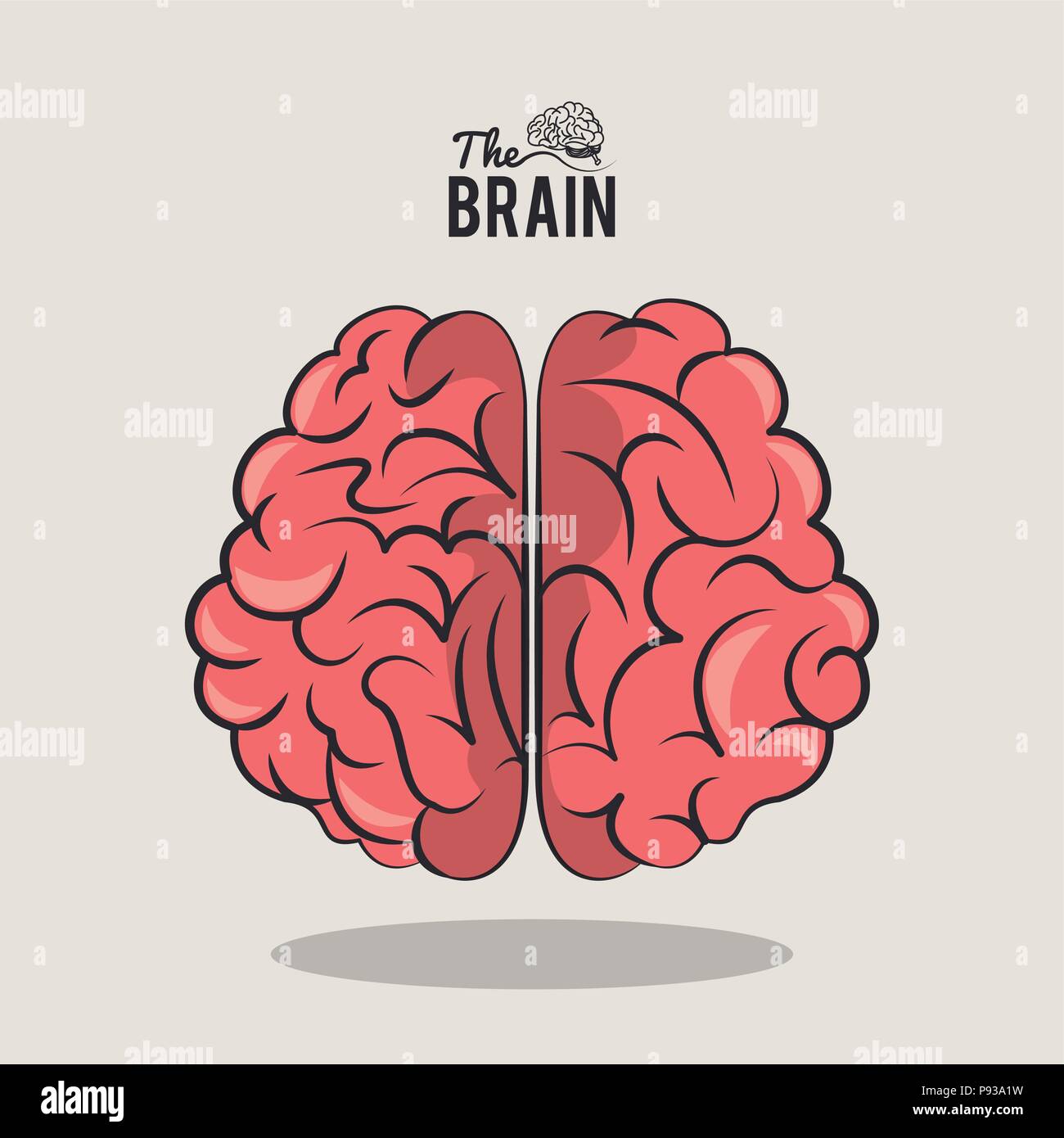 Le cerveau humain cartoon vector illustration graphic design Image ...