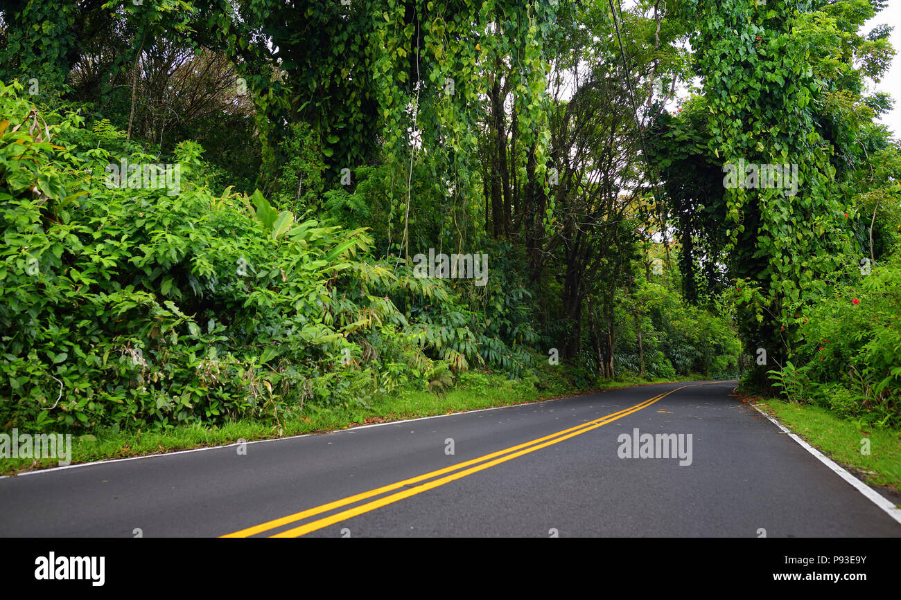 Célèbre Route de Hana pleine d'une voie étroite des ponts, des virages ...