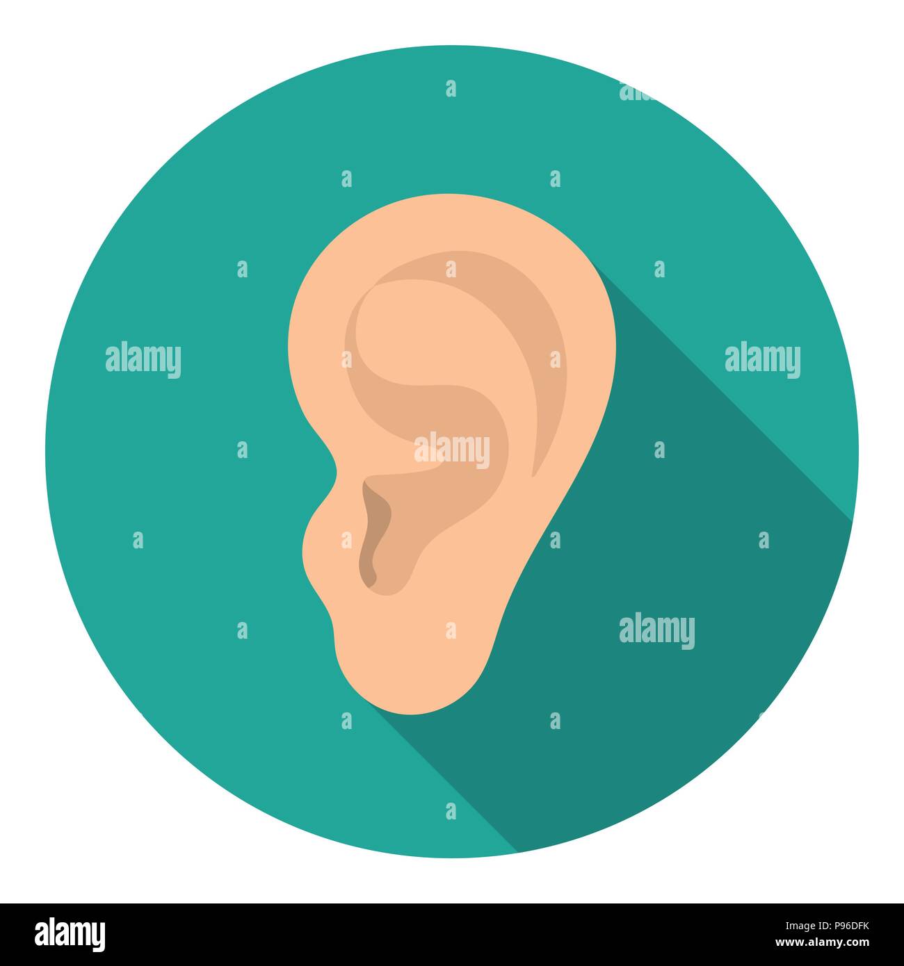 Corps anatomie vue profil Banque d'images vectorielles - Alamy