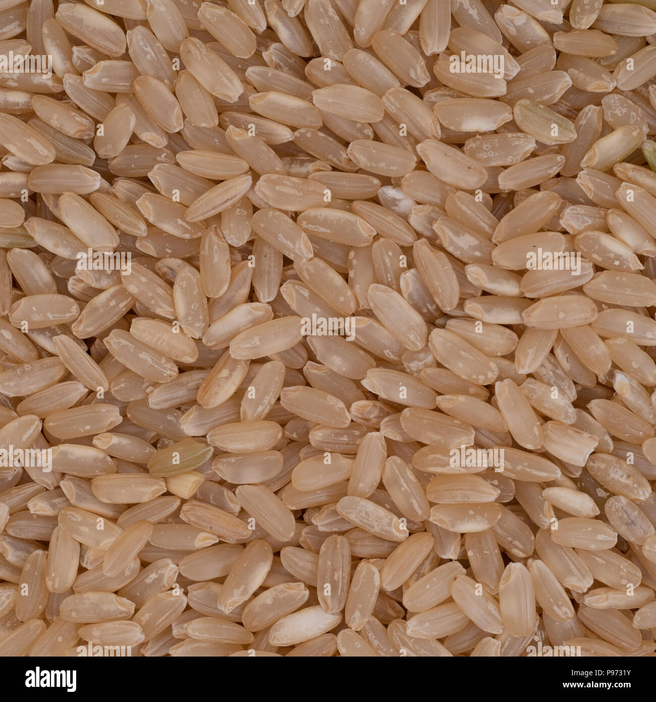 Grain de riz Banque de photographies et d’images à haute résolution - Alamy