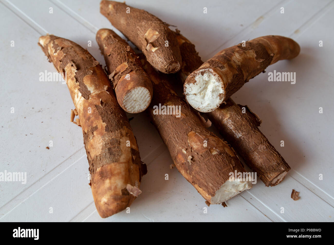 Le manioc (Manihot esculenta), mandioc, (espagnol : mandioca, Guarani ...