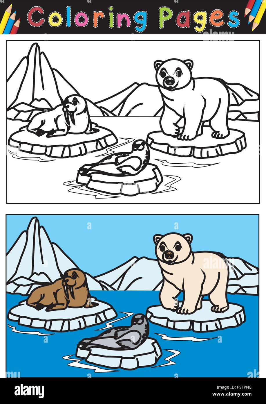 Animaux polaires coloriage Banque de photographies et d’images à haute ...