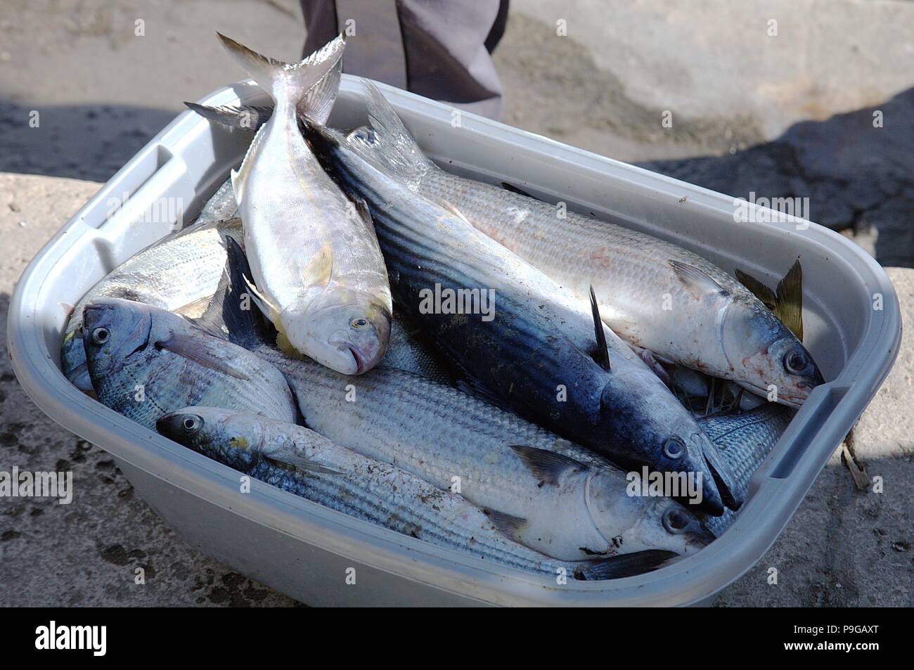 Full bodies Banque de photographies et d’images à haute résolution - Alamy