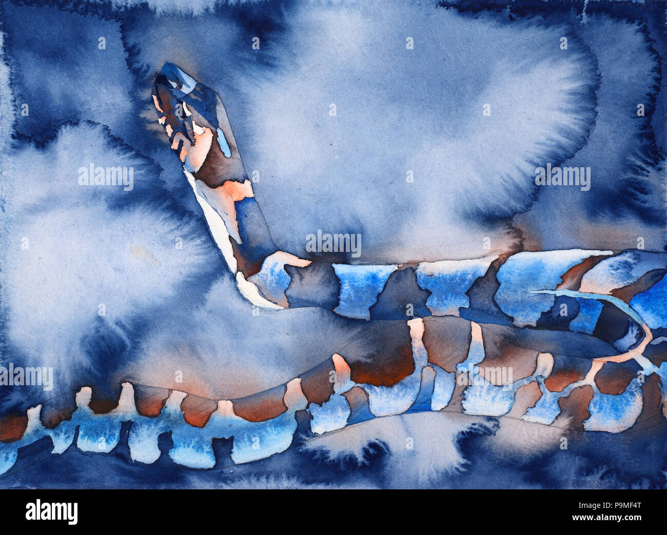 Peinture de reptiles Banque de photographies et d’images à haute résolution - Alamy