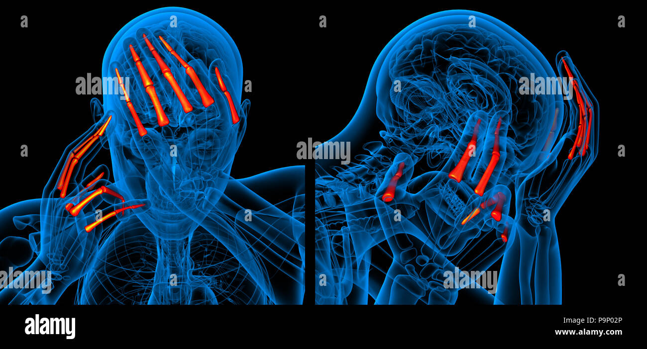 Os du doigt Banque de photographies et d’images à haute résolution - Alamy