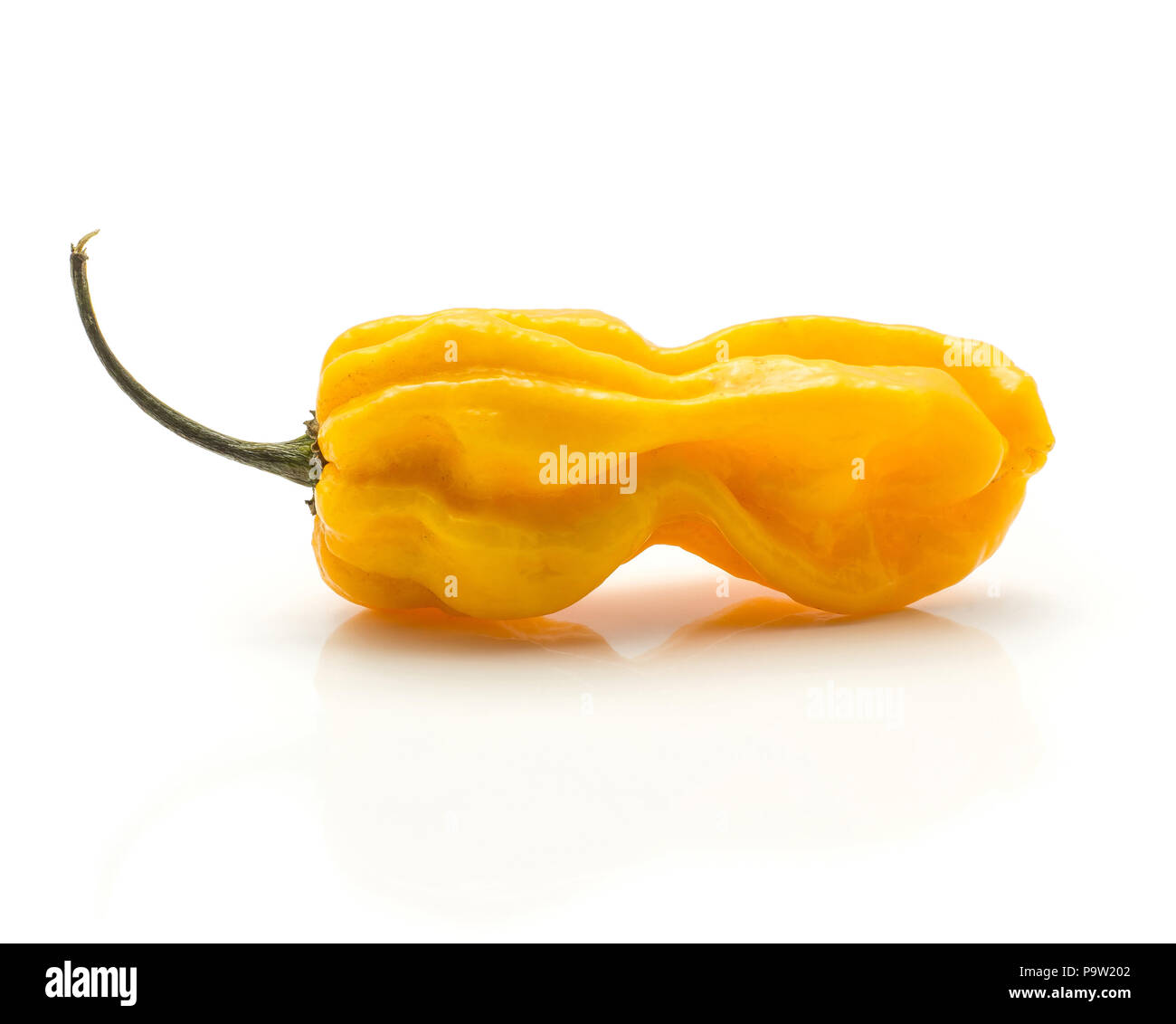 Piment habanero fort et piquant Banque de photographies et d’images à ...