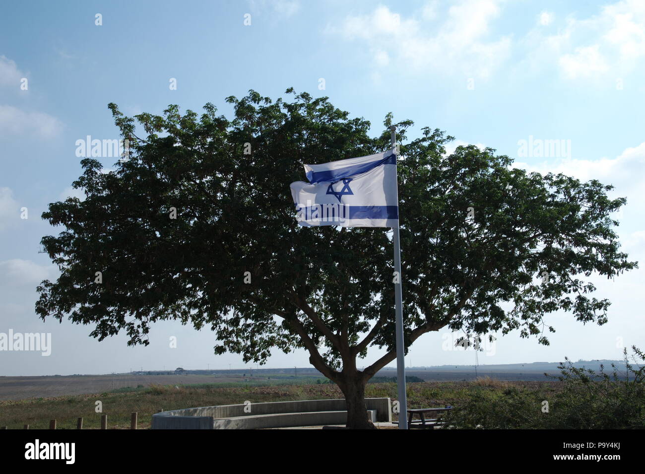 Drapeau dans l'arbre Banque de photographies et d’images à haute ...