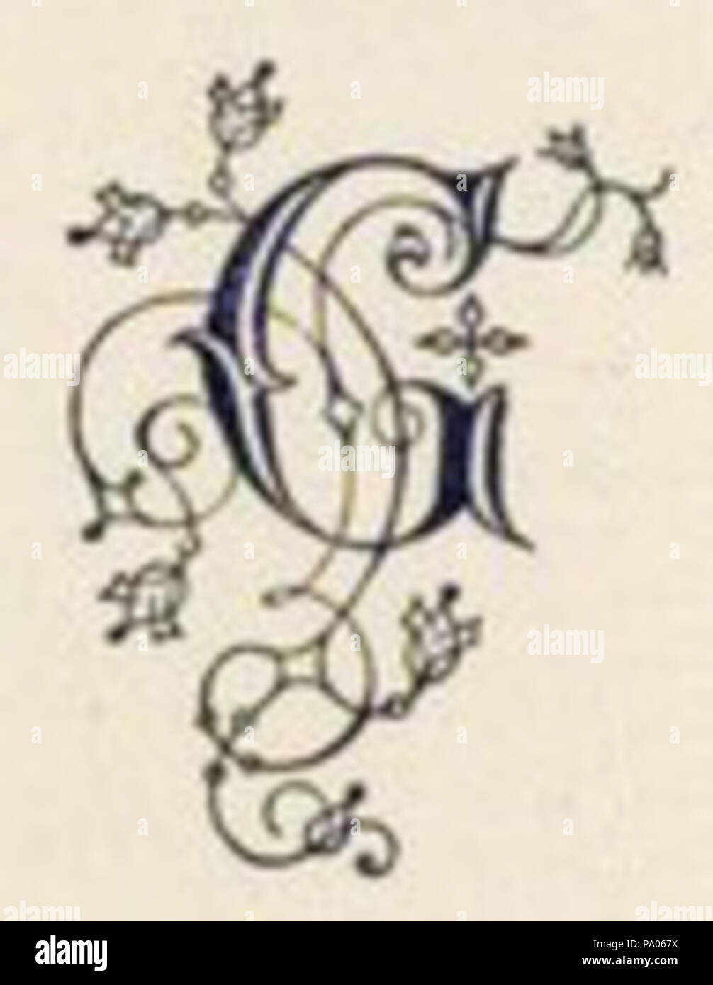 Lettre g calligraphie Banque de photographies et d’images à haute ...