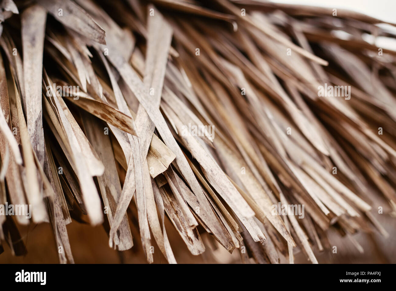 Thatch roof texture background Banque de photographies et d’images à ...