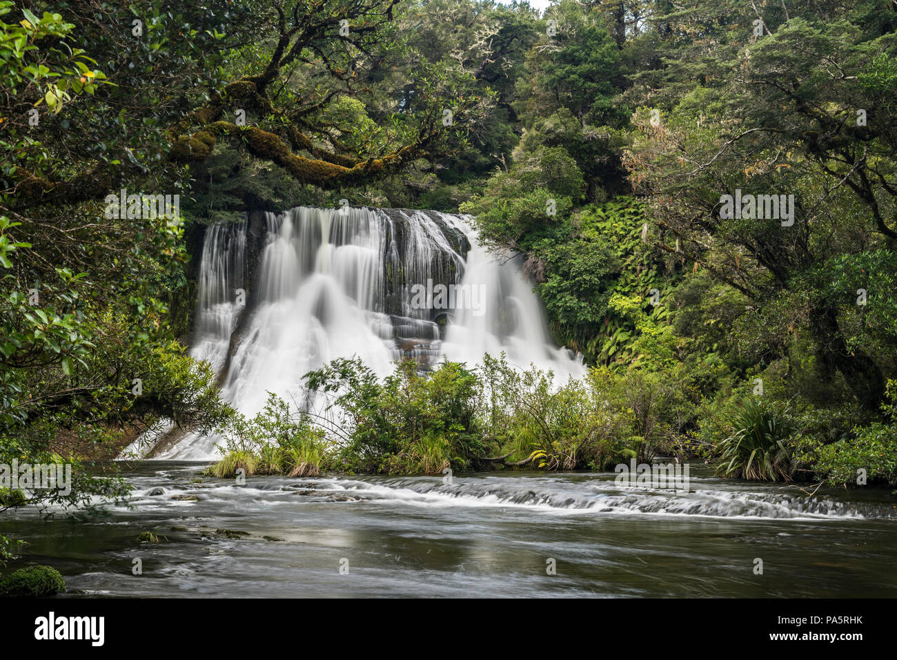 Te urewera Banque de photographies et d’images à haute résolution - Alamy