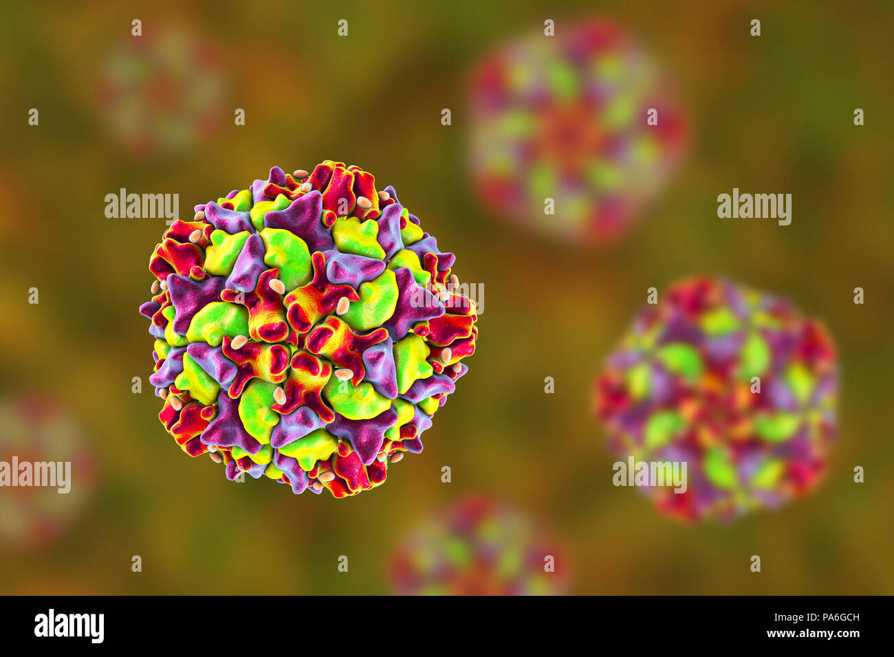 Polio Virus Banque d'image et photos - Alamy