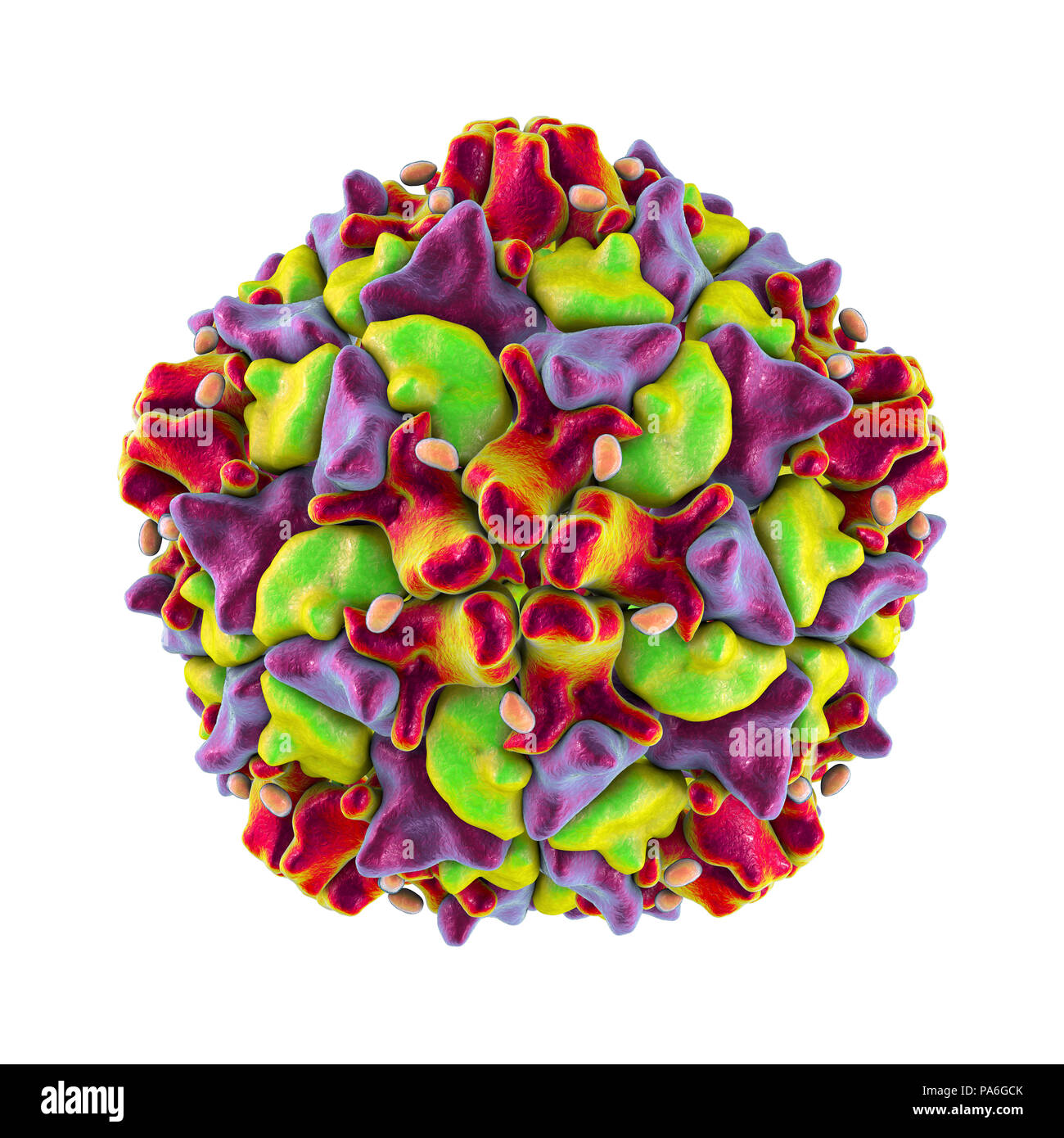Polio Virus Banque d'image et photos - Alamy