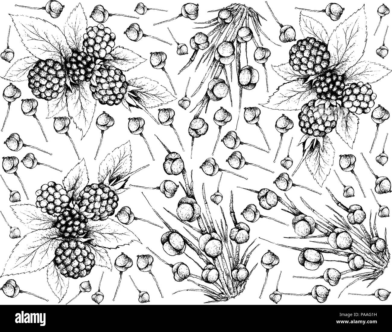 Petits fruits, Illustration Papier peint fond de croquis à la main des ...