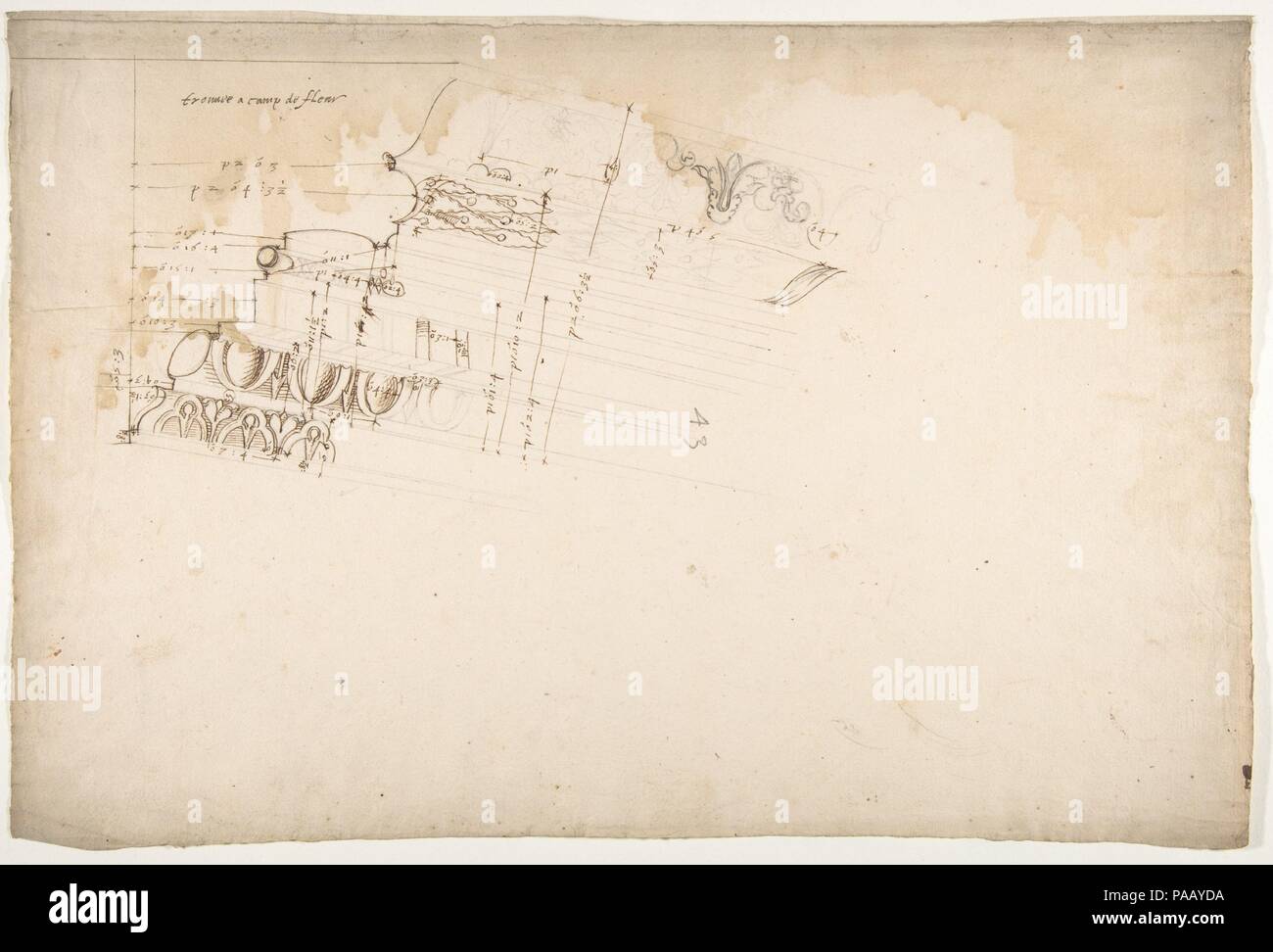 Corniche, non identifié, la projection (recto) (verso vierge). Fiche ...