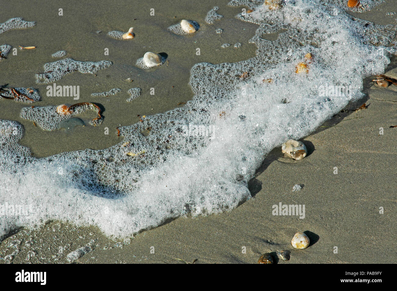 Pierres de silex sur la plage Banque de photographies et d’images à ...
