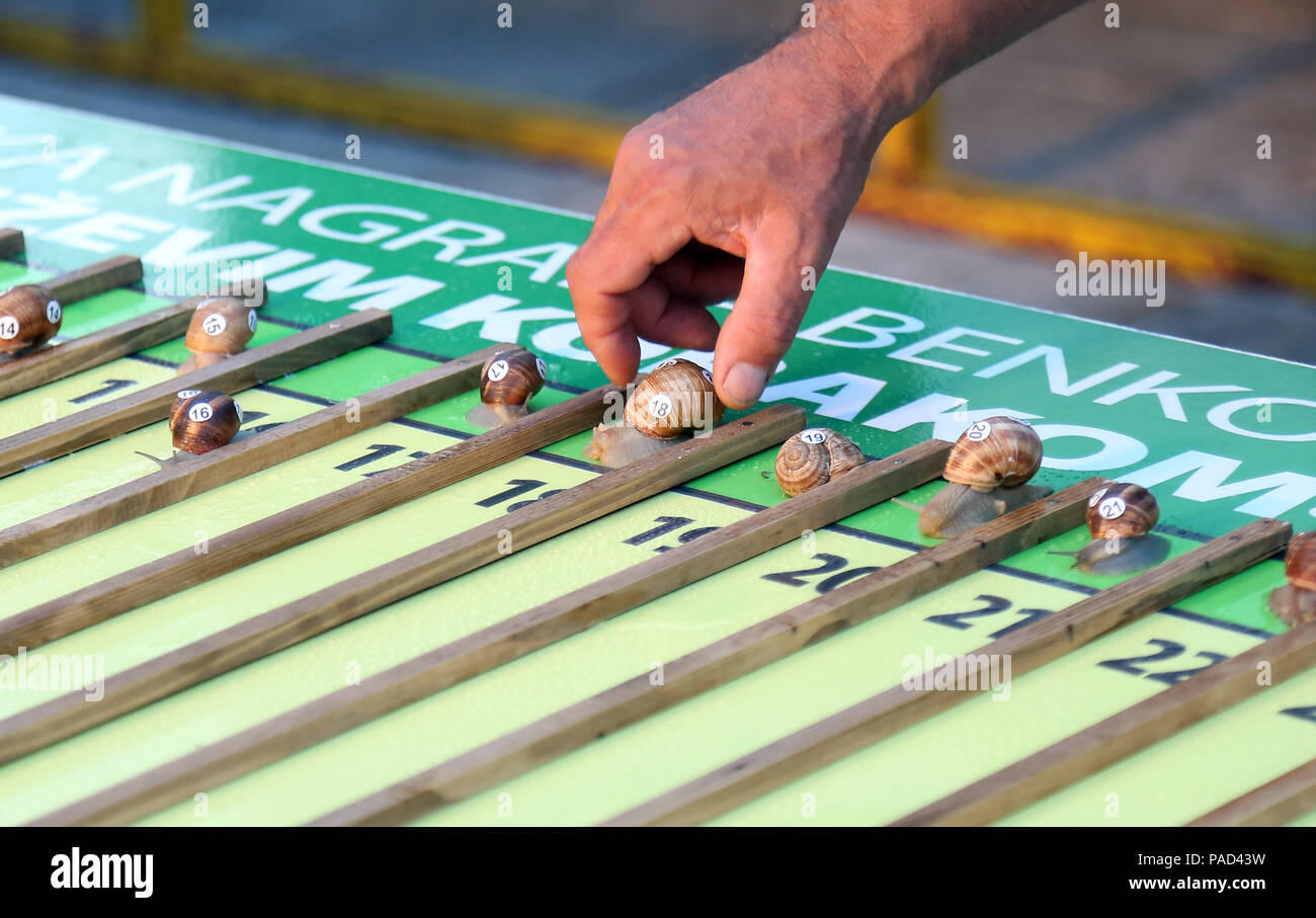 Snails race Banque de photographies et d’images à haute résolution - Alamy