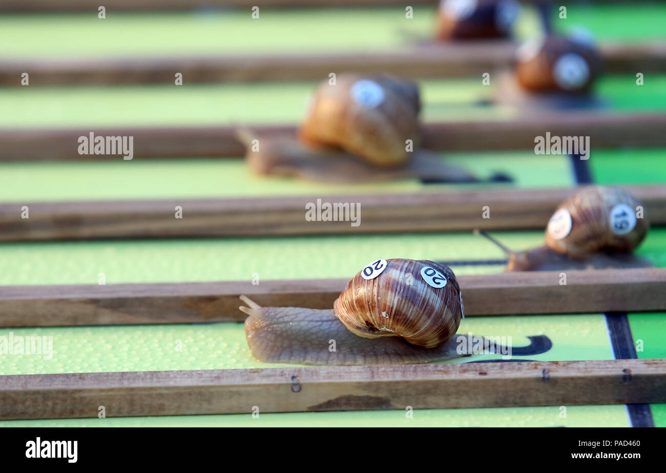 Benkovac, Croatie. 21 juillet, 2018. Course d'escargots dans le 7ème ...