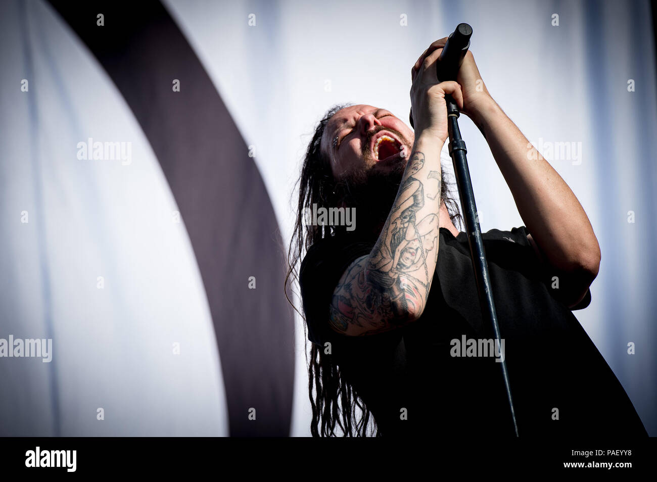 Tatouage de jonathan davis Banque de photographies et d’images à haute ...