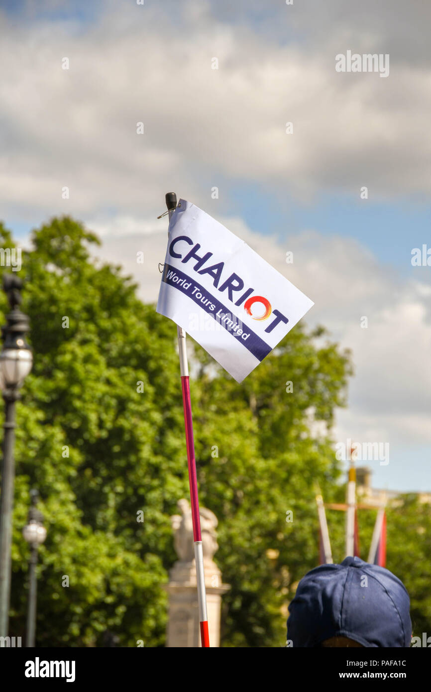 Petit drapeau tenu par une compagnie de voyage guide touristique pour ...