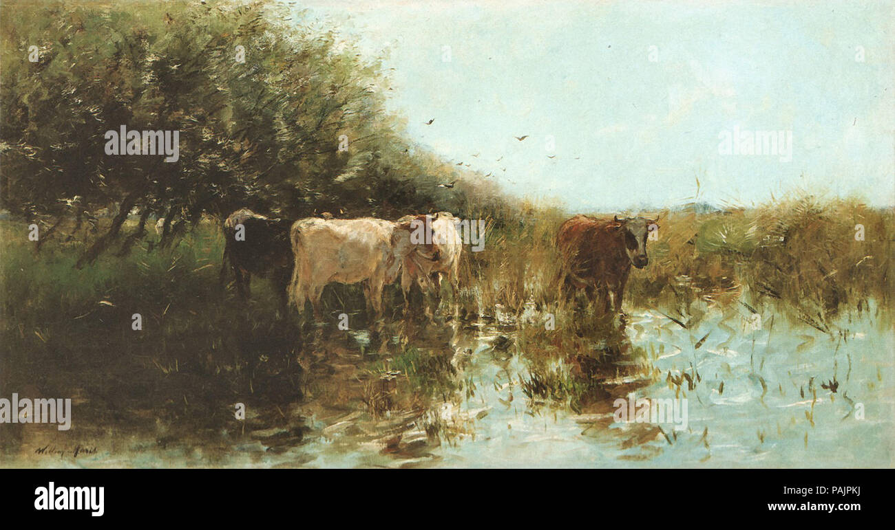 Het riet Banque de photographies et d’images à haute résolution - Alamy