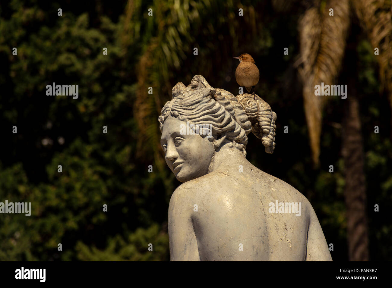 Statue en marbre d'une Vénus avec un oiseau sur la tête dans un parc ...