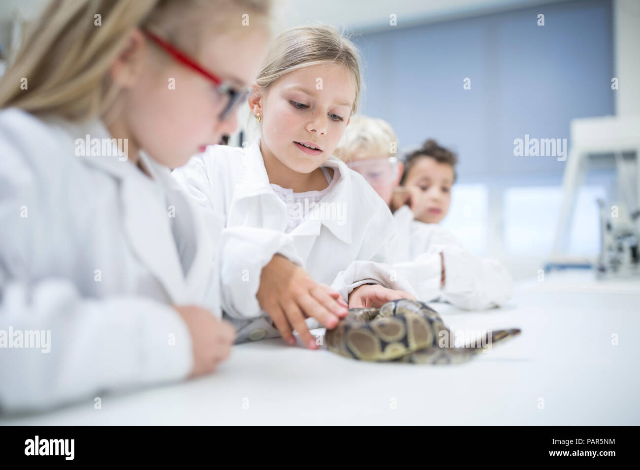 Learn about snake Banque de photographies et d’images à haute ...