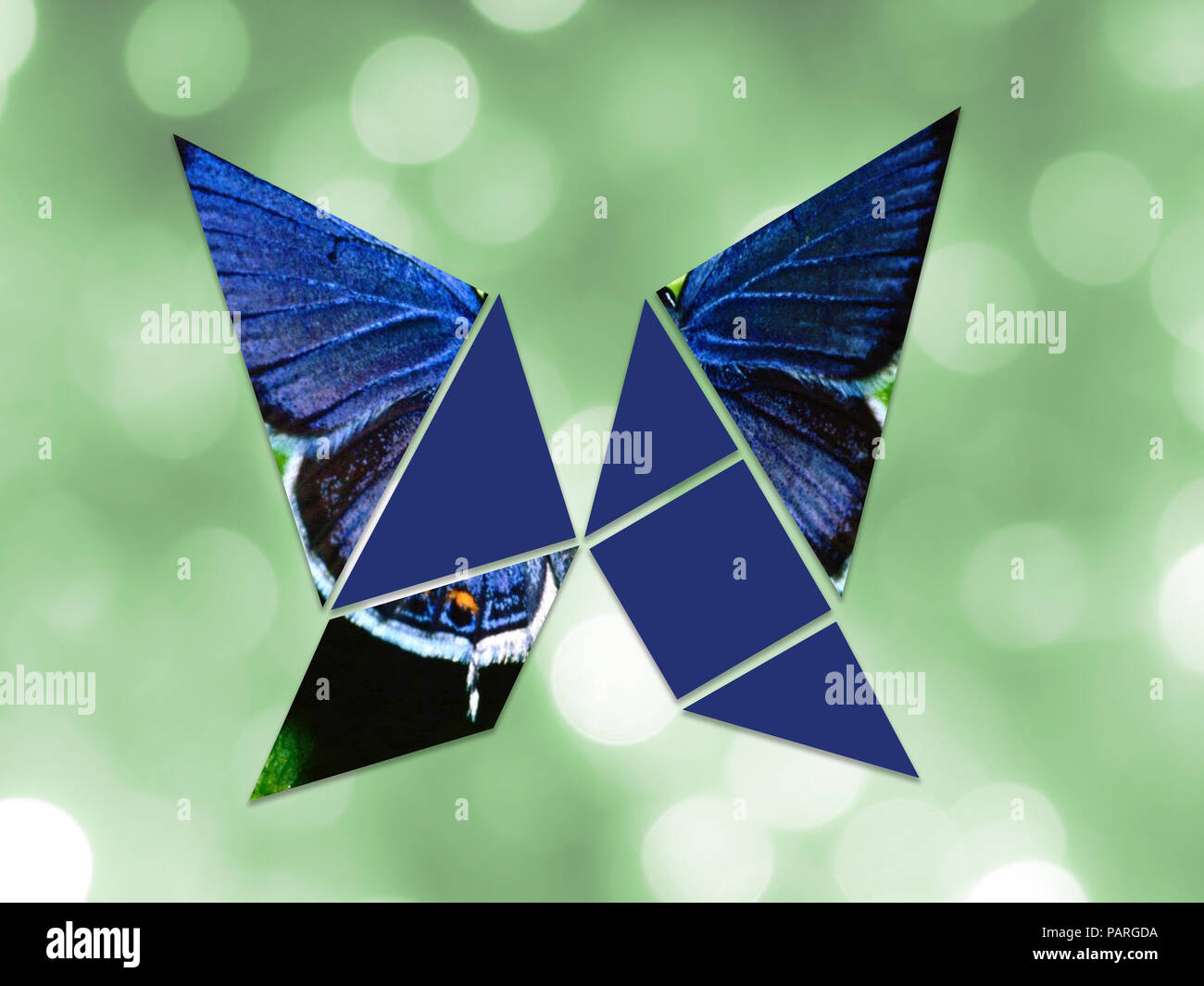 La figure avec papillon formes créées avec les pièces de jeu Tangram ...