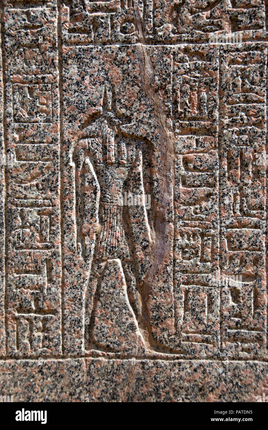 La tête de chacal Anubis dieu égyptien sculptée sur un sarcophage de ...