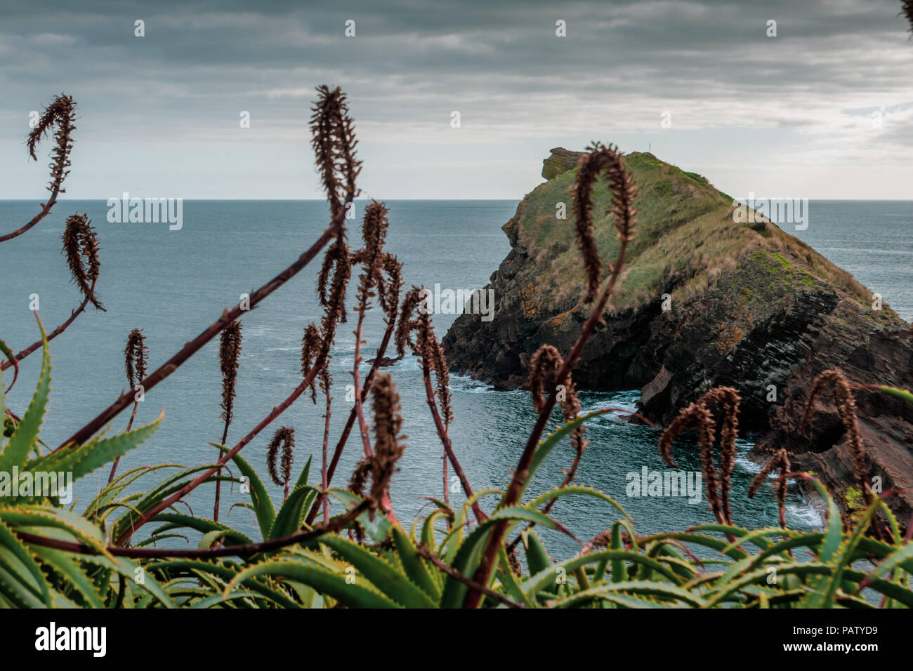 Sao roque beach azores portugal Banque de photographies et d’images à ...
